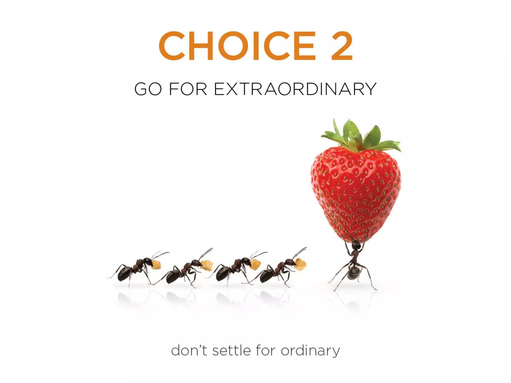 The 5 Choices to Extraordinary Productivity | PDF