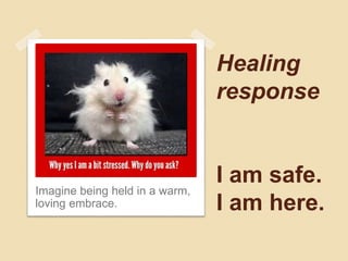 The Five Major Character Structures | PPSX