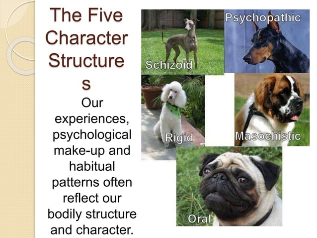 The Five Major Character Structures | PPSX
