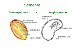 5ª ciclo das plantas.pdf