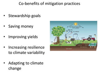 On-Farm Greenhouse Gas Mitigation Practices | PDF