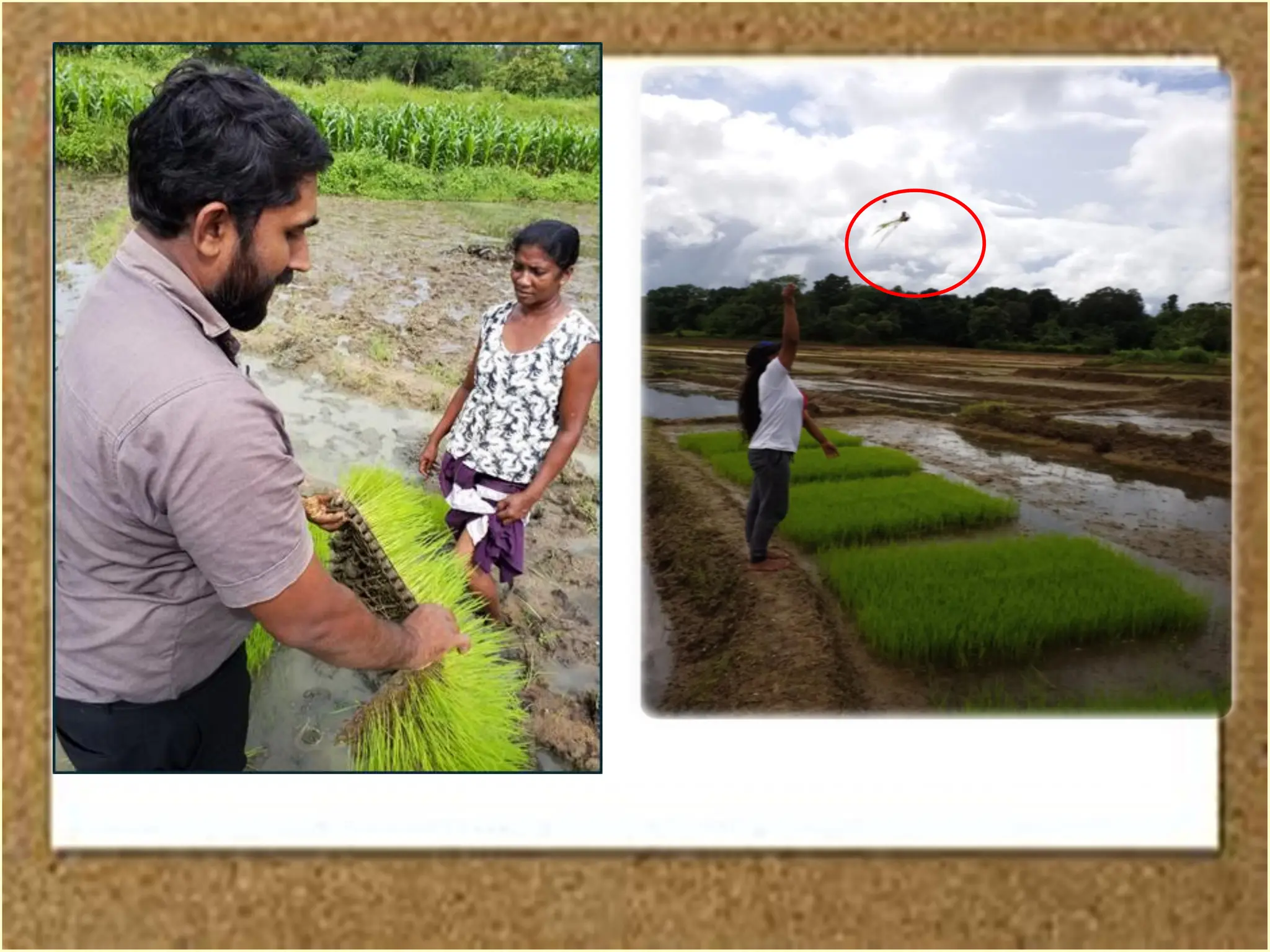 5 Climate Smart Agriculture for training of trainers | PDF