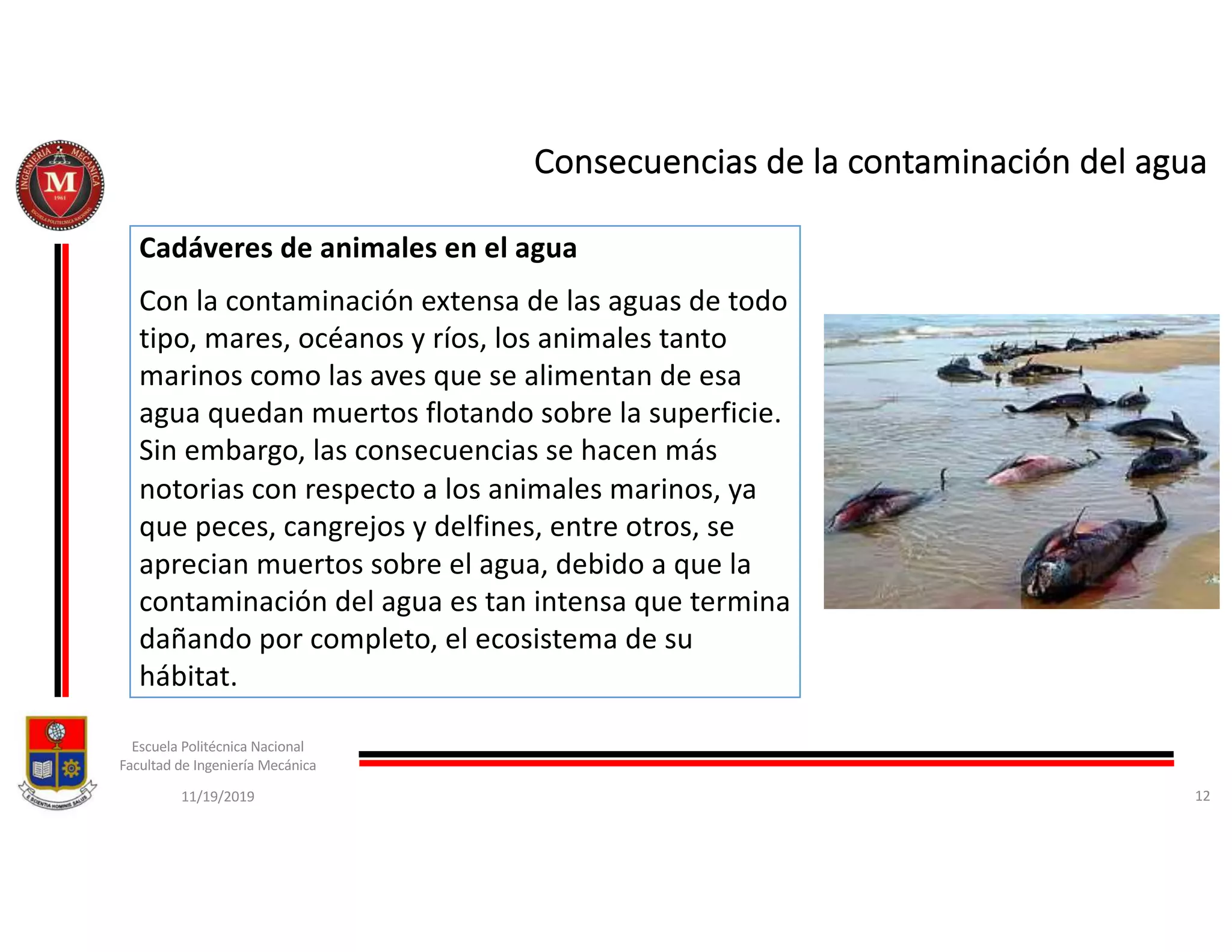 5 contaminacion del agua, suelo y aire y prevencion | PPT