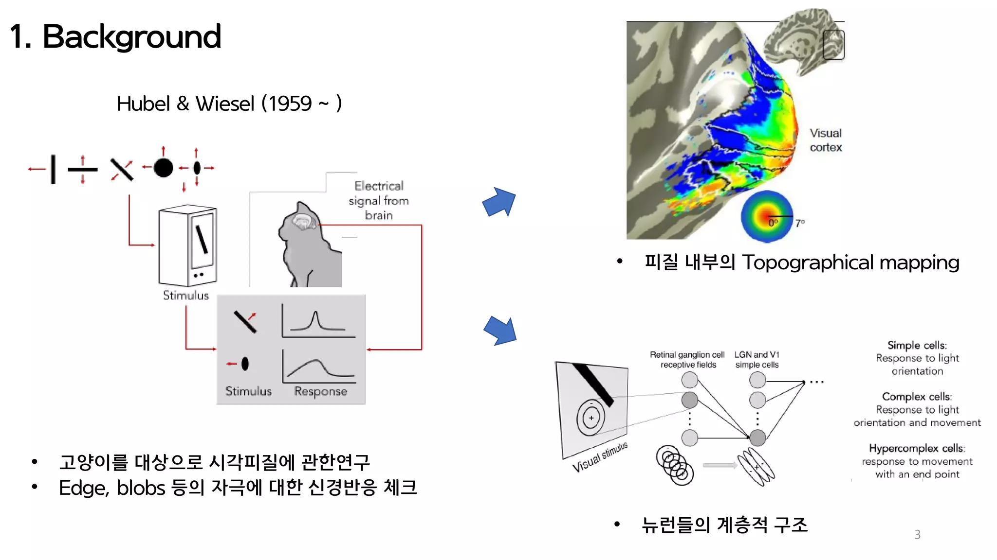 Convolutional Neural Networks(CNN) / Stanford cs231n 2017 lecture 5 / MLAI@UOS Lab Meeting | PPT