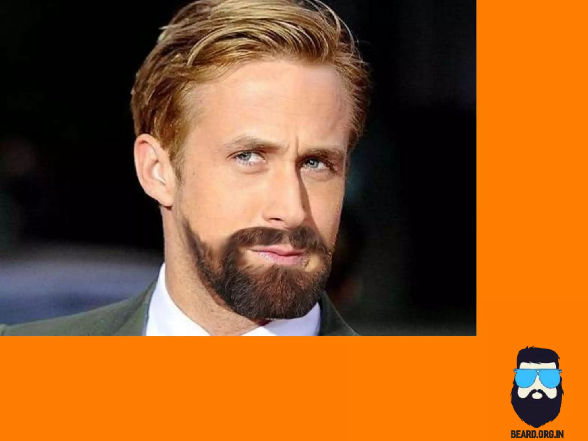 Circle Beard Looks | PPTX