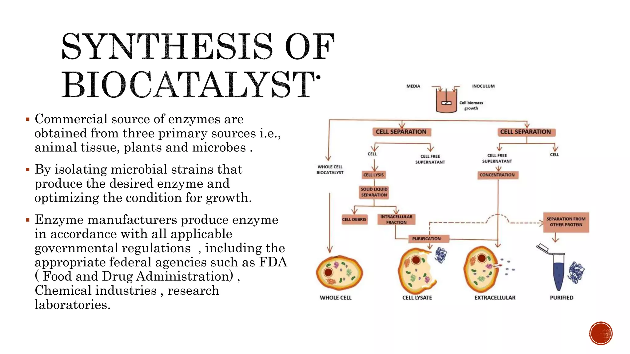 Biocatalyst_GreenChemistry_.pptx