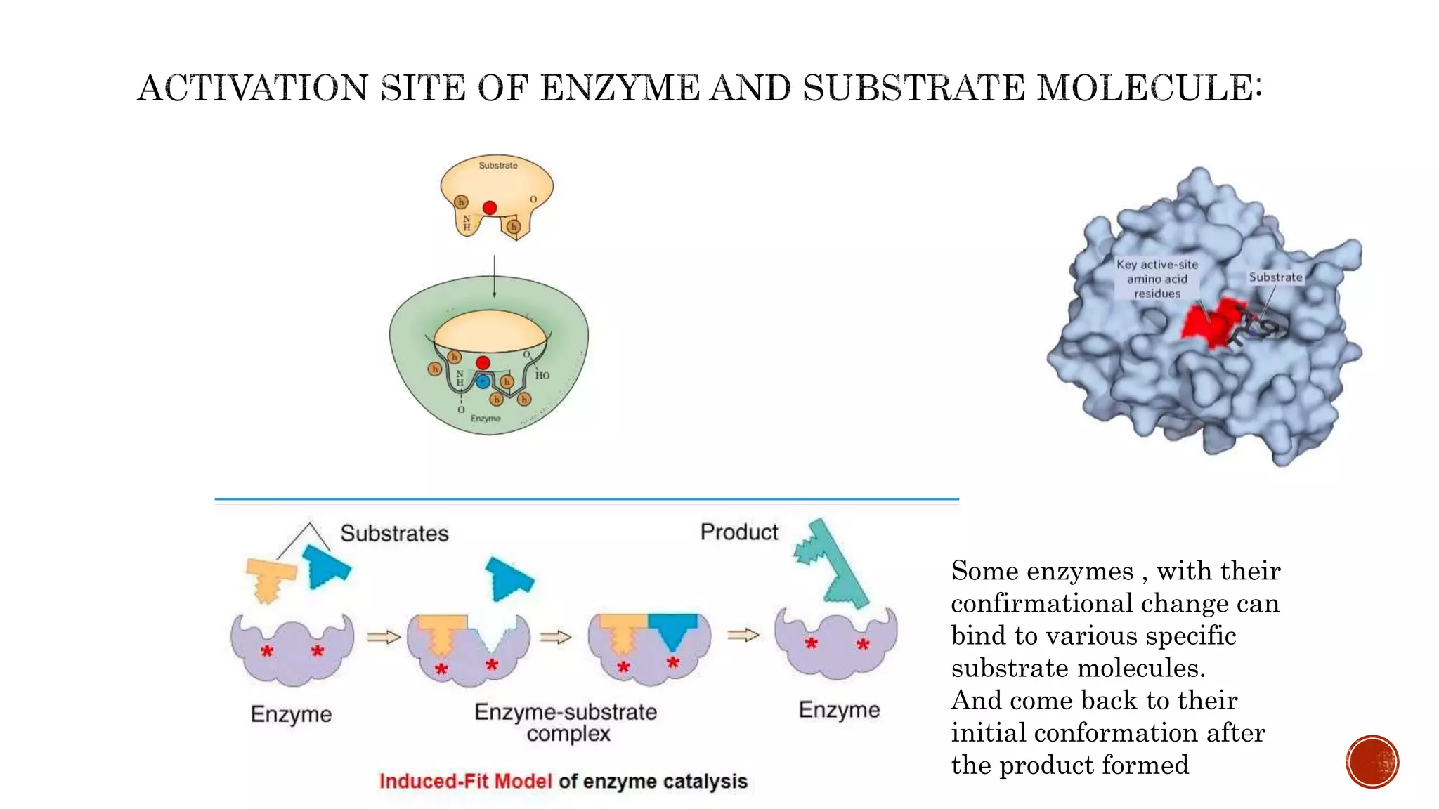 Biocatalyst_GreenChemistry_.pptx