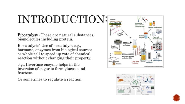 Biocatalyst_GreenChemistry_.pptx
