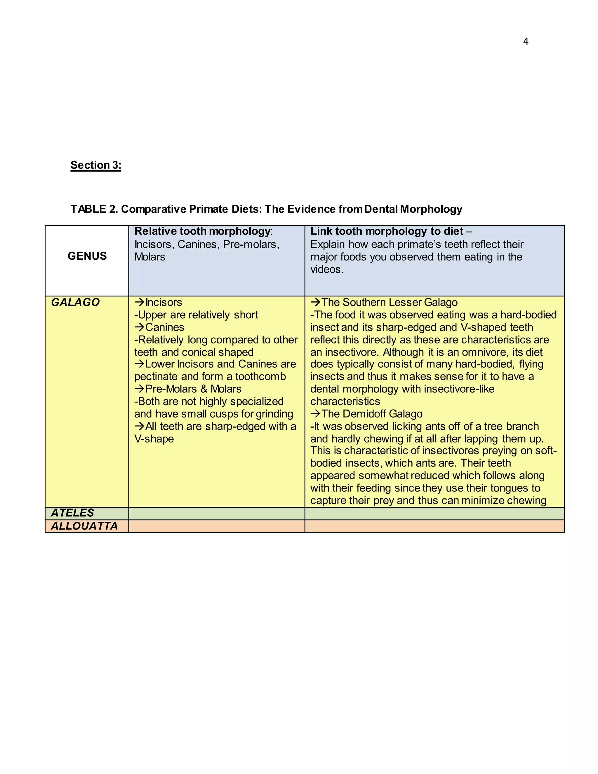 Primate Behavior Project 2 | DOCX