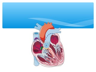 Presentasi AED | PPT