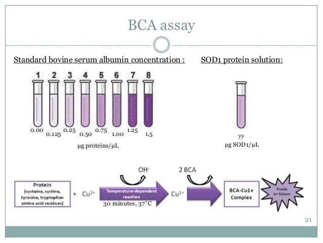 Lab meeting Laura 10-18-2016