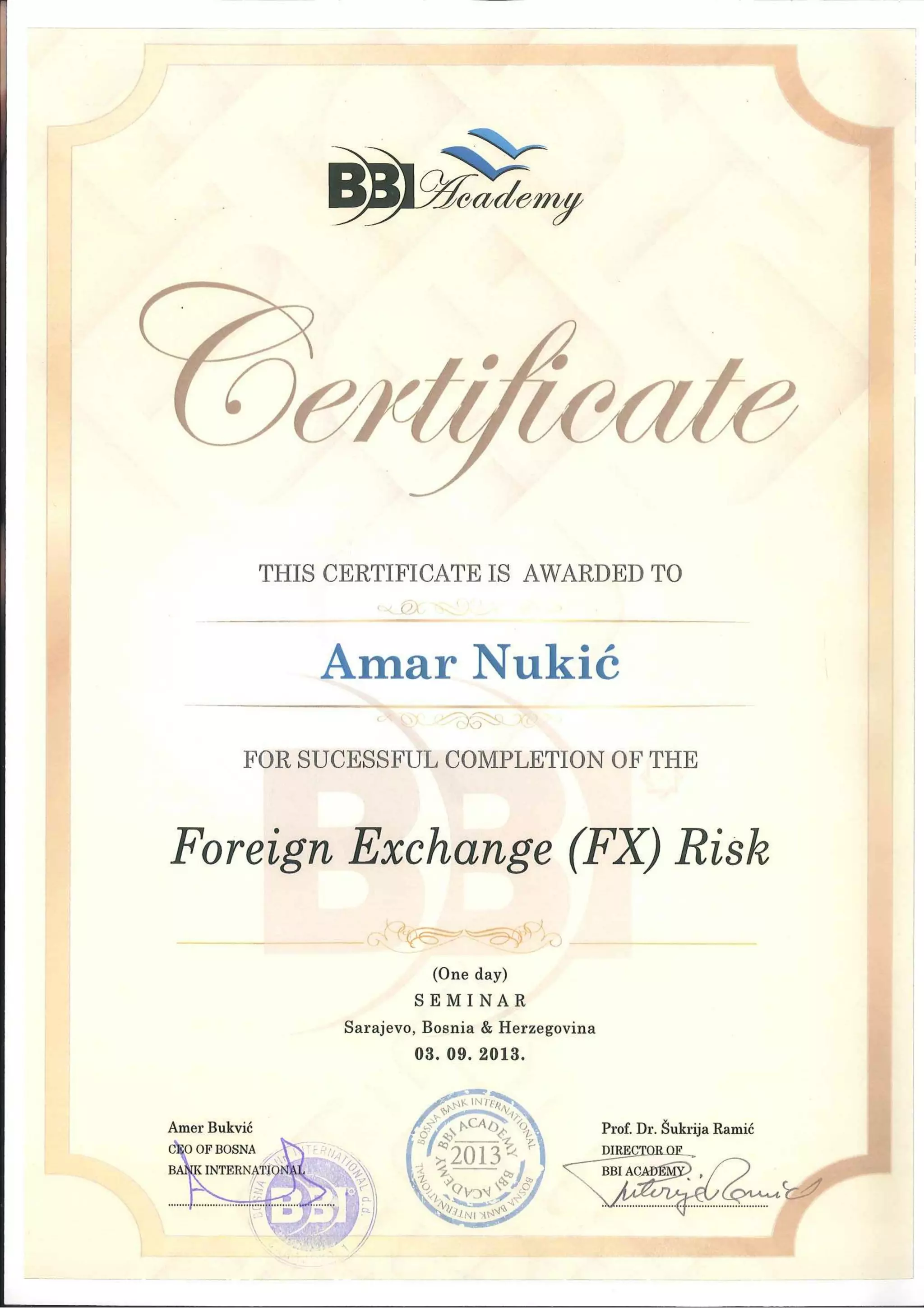 Foreign Exchange (FX) Risk | PDF