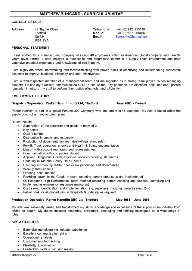 MB CV 2015 V1 | DOCX