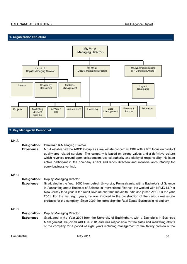 0 Sample Financial Due Diligence Report - VK