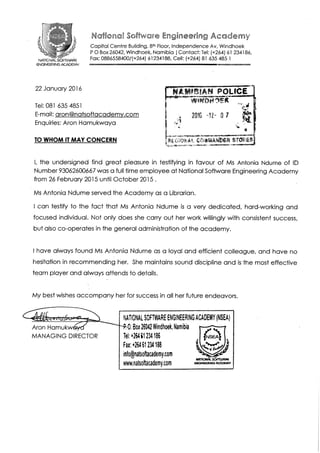 National Software Engineering Academy testmonial | PDF