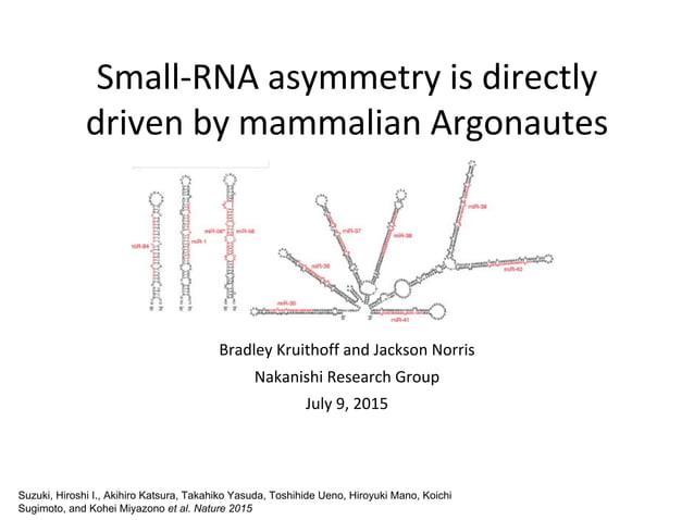 Singh Lab presentation .pptx