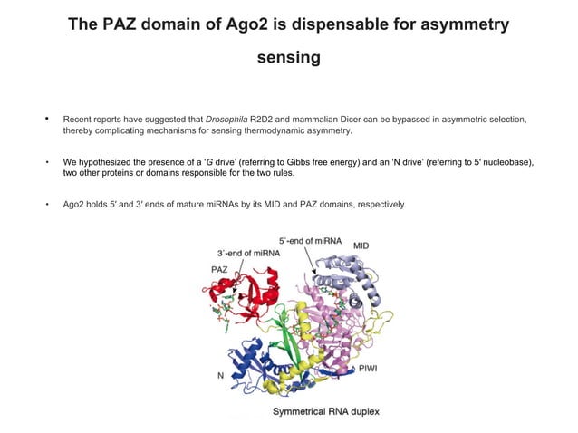 Singh Lab presentation .pptx
