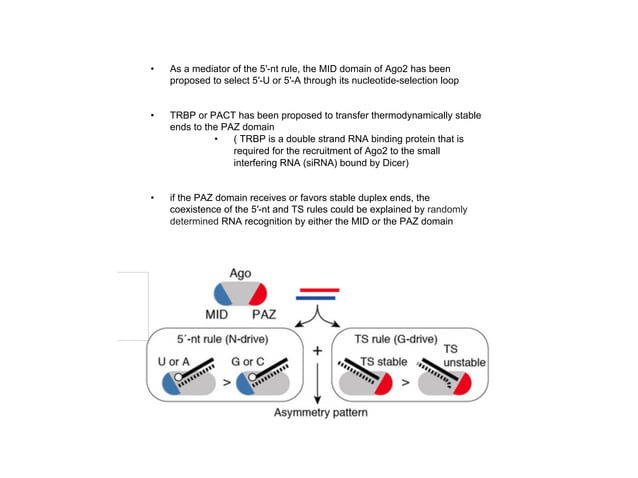 Singh Lab presentation .pptx