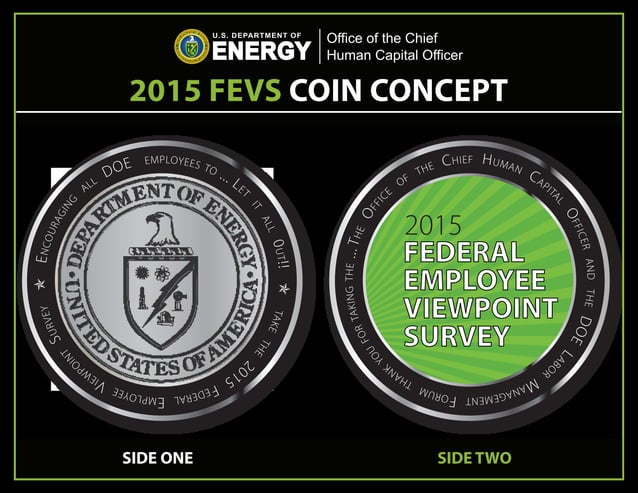 FEVS Coin | PPT