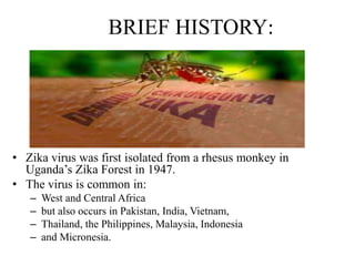 ZIKA VIRUS | PPTX | Infectious Diseases | Diseases and Conditions