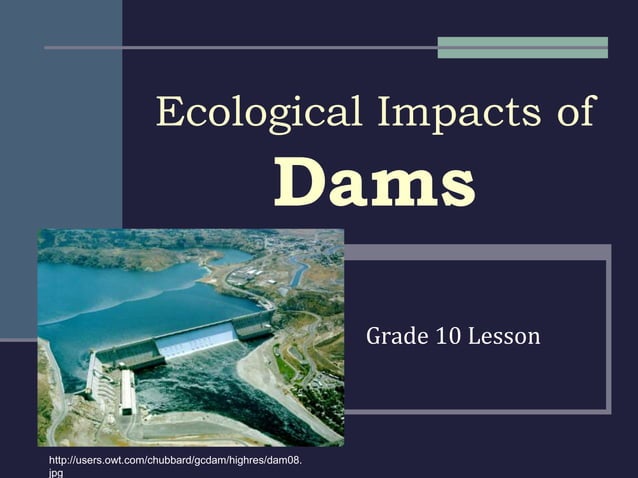 The 5 largest dams and their ecological impact | PPTX
