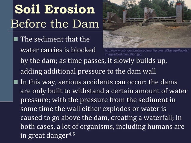 The 5 largest dams and their ecological impact | PPTX
