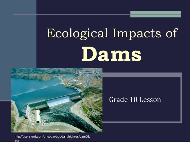 The 5 largest dams and their ecological impact