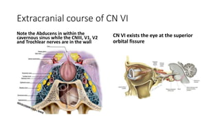 Differential Diagnosis in Lateral Rectus Palsy | PPT