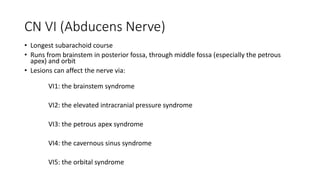 Differential Diagnosis in Lateral Rectus Palsy | PPTX | Death, Injury ...