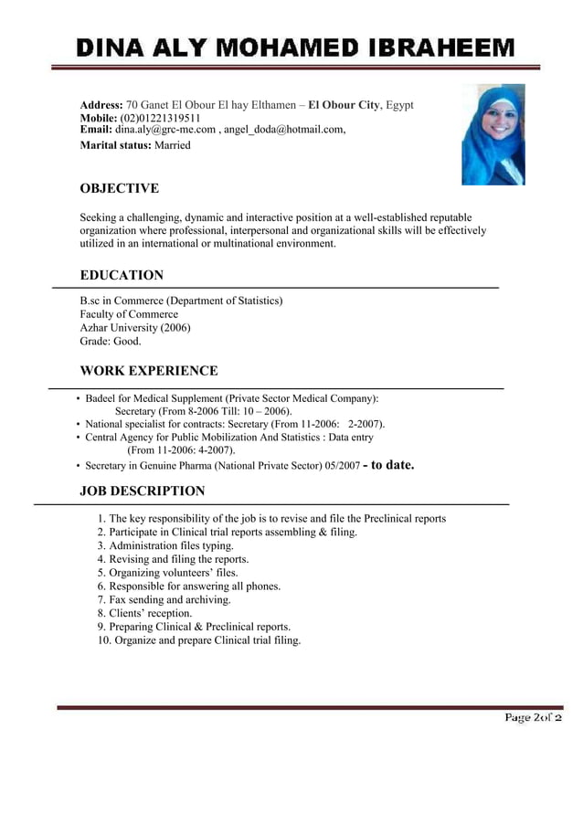 DINA CV elob-new 2 (1)(2) | PDF | Career Planning | Careers