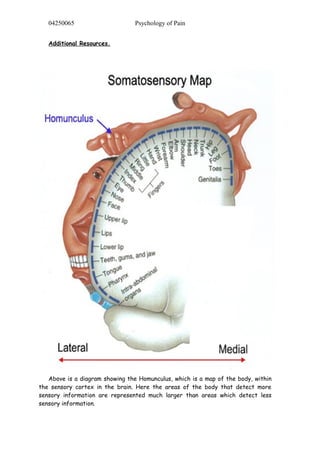 phantom limb pain handout assessment | DOC