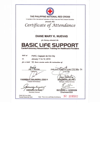Red Cross.PDF
