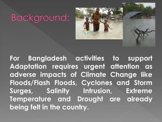 Bangladesh - Developing national adaptation implementation strategy | PDF