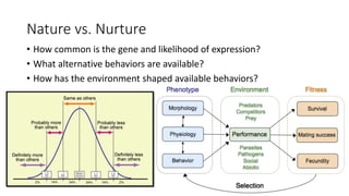 Behavioral Neuroscience: Development and Plasticity.pptx