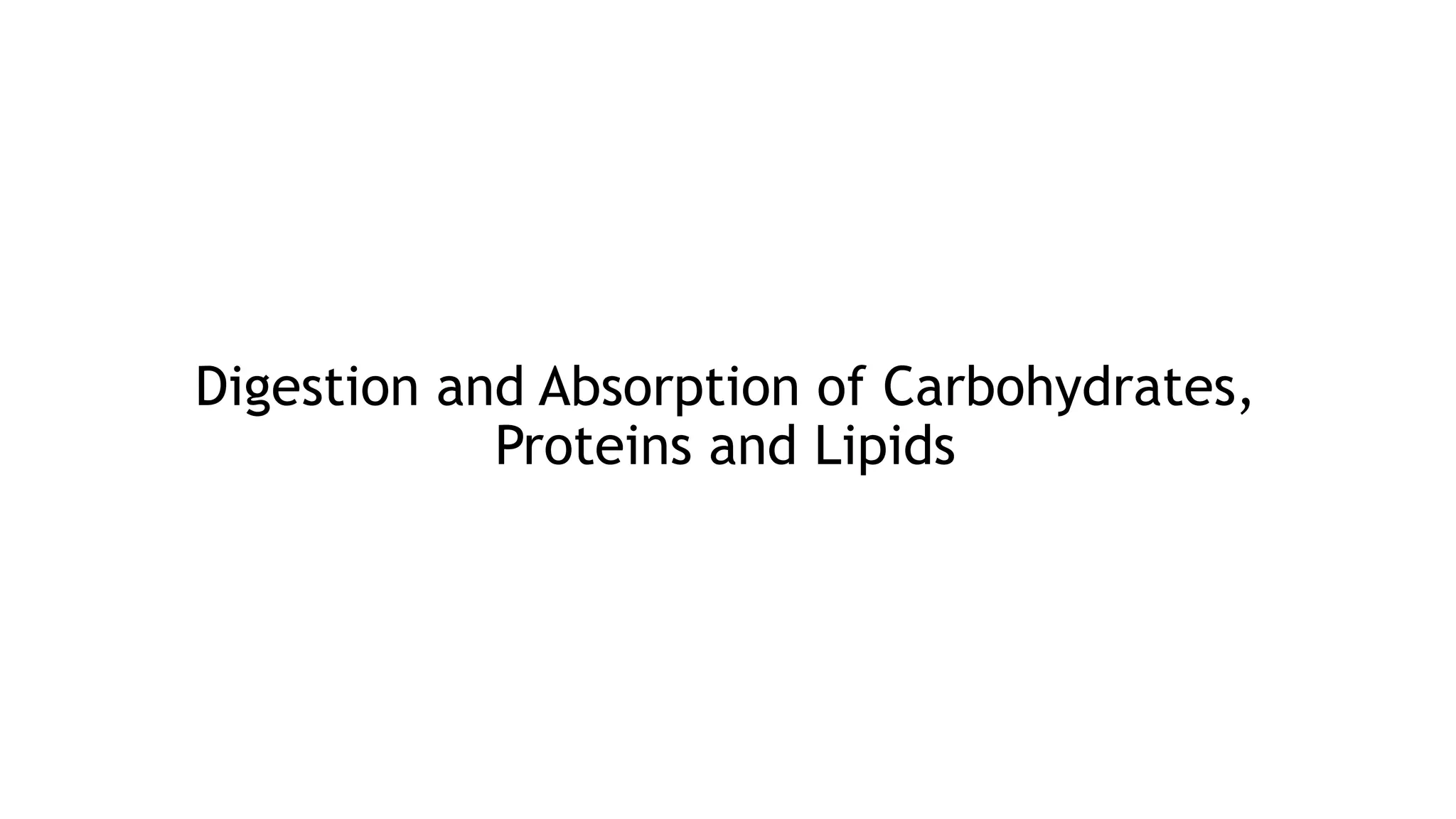 5 digestion absorption of carbs,proteins,lipids.pptx