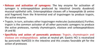 5 digestion absorption of carbs,proteins,lipids.pptx