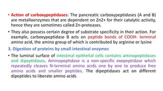 5 digestion absorption of carbs,proteins,lipids.pptx