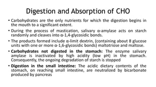 5 digestion absorption of carbs,proteins,lipids.pptx