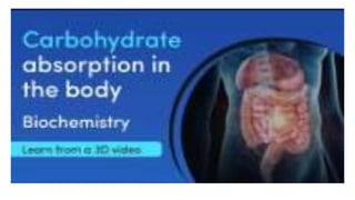 5 digestion absorption of carbs,proteins,lipids.pptx