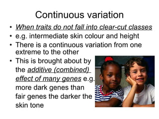 Chapter 19 Heredity Lesson 5 - Discontinuous and Continuous Variation | PPT