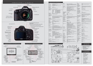 Canon 5D Mark III Brochure | PDF