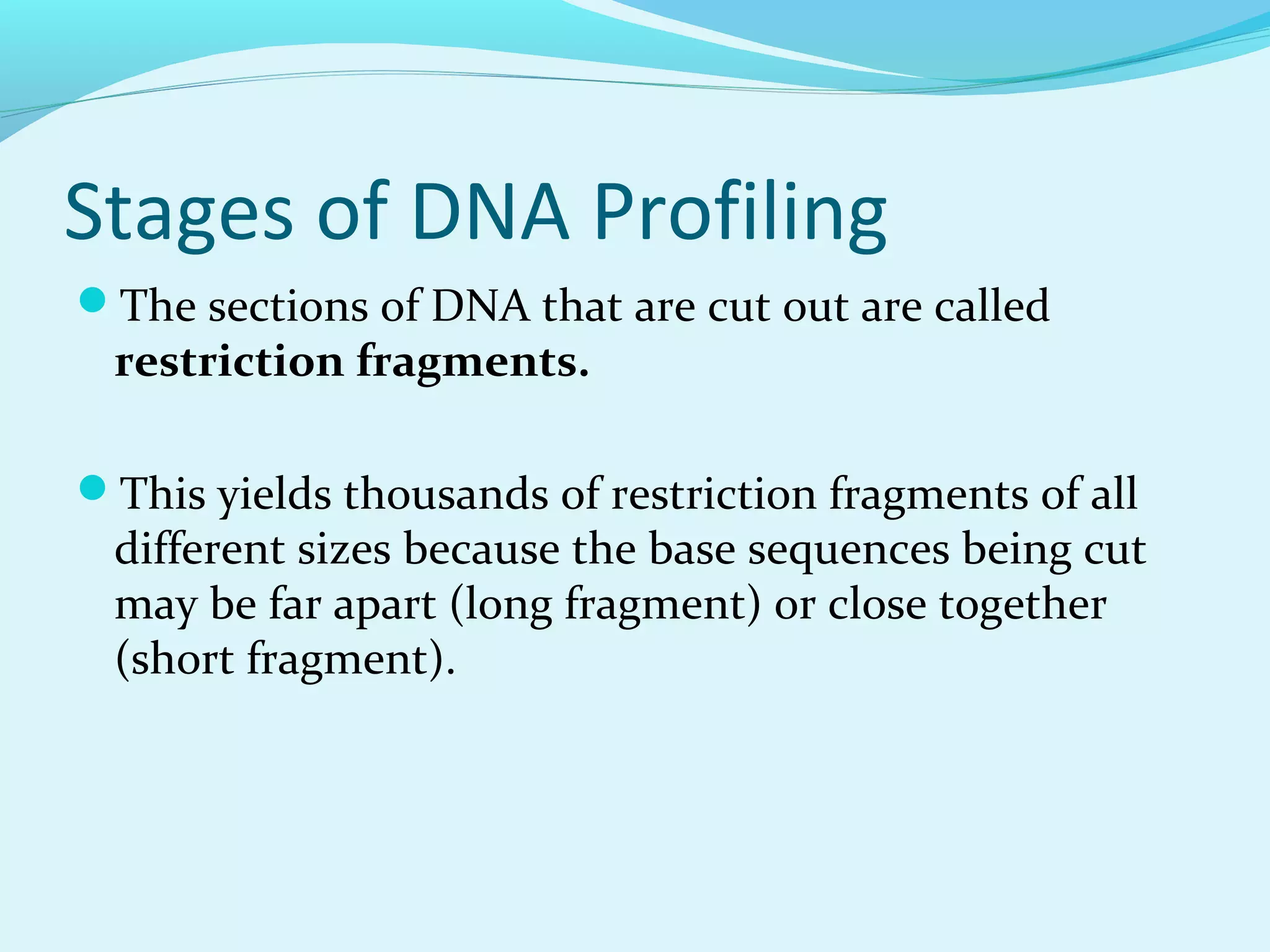 dna fingerprinting powerpoint | PPT