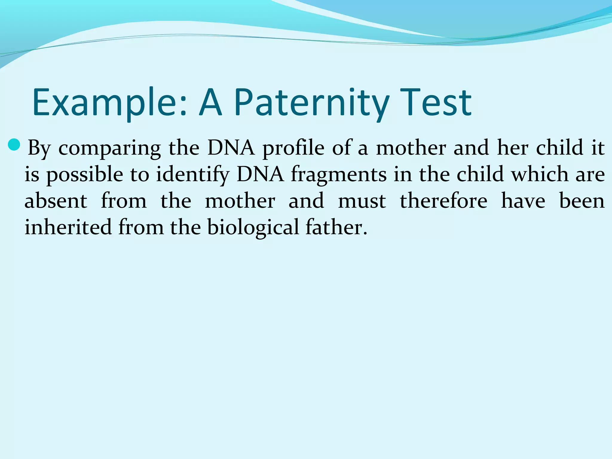 dna fingerprinting powerpoint | PPT