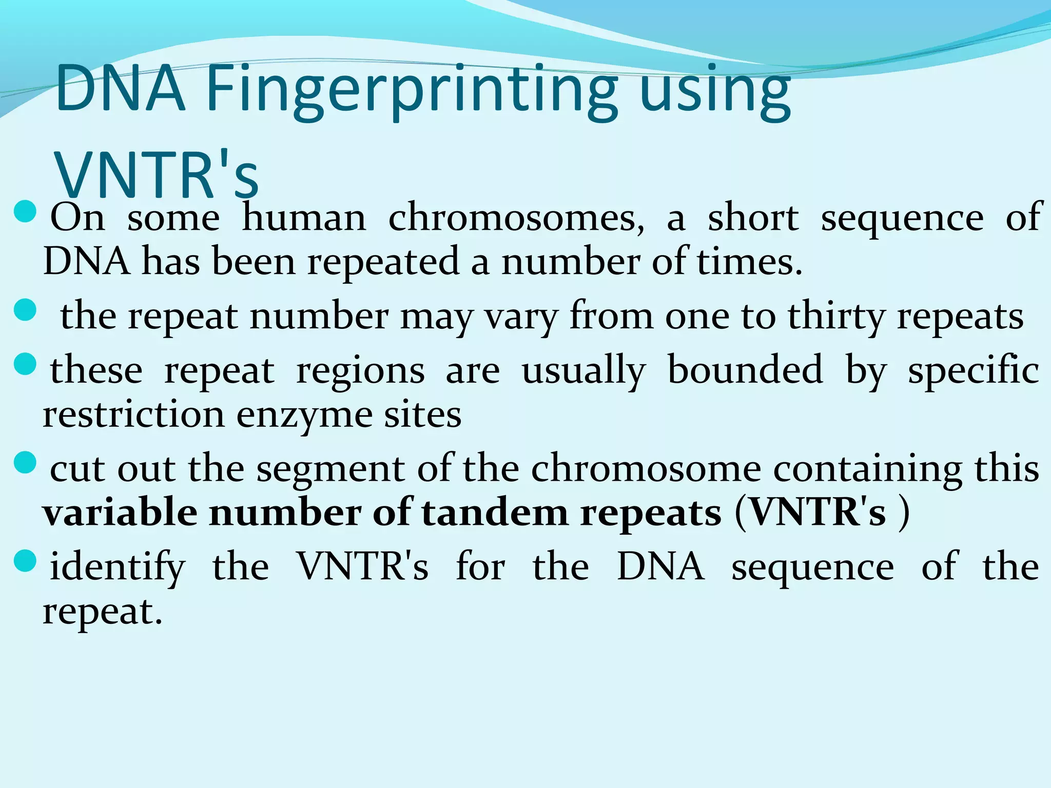 dna fingerprinting powerpoint | PPT