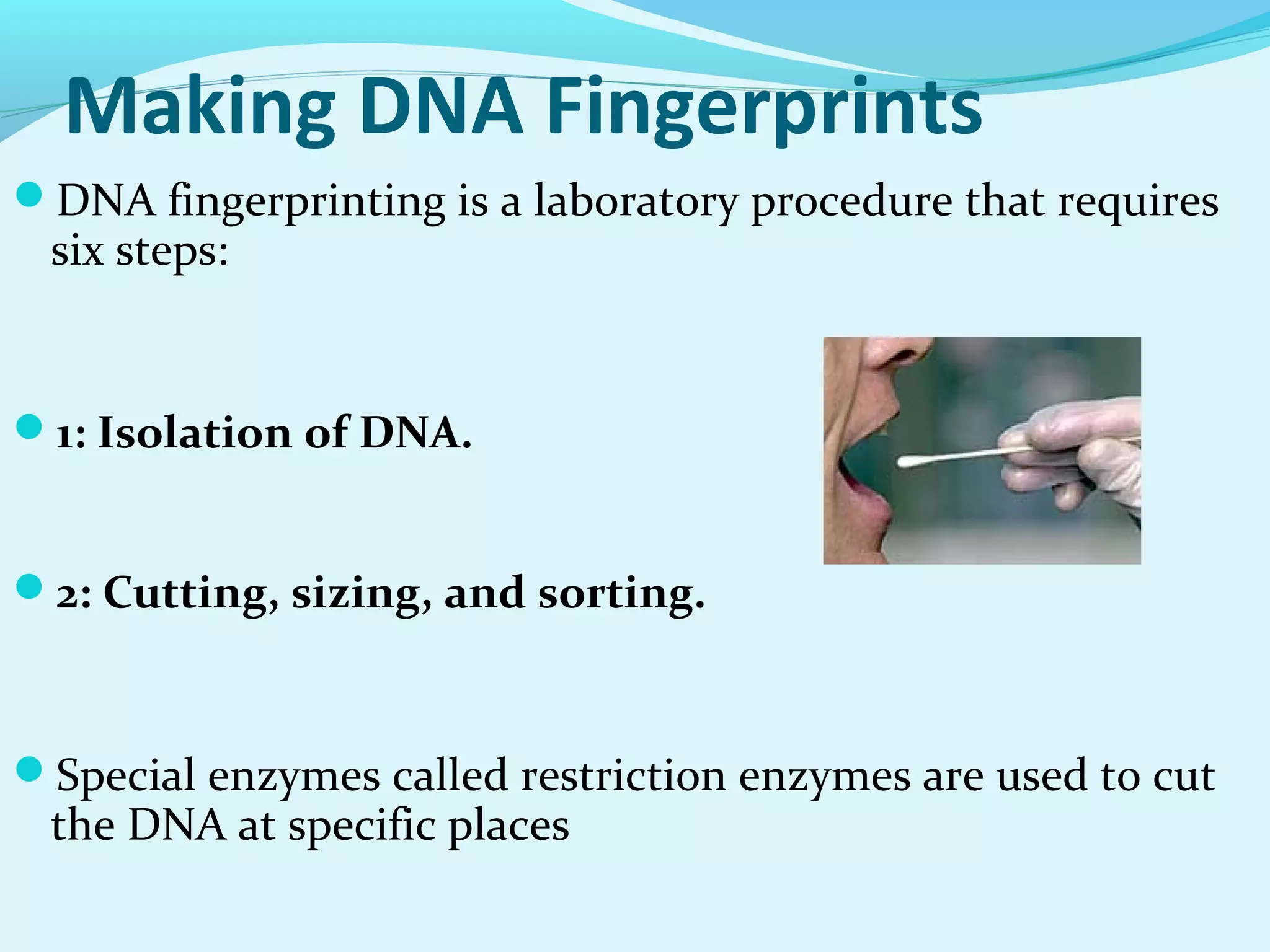dna fingerprinting powerpoint | PPT