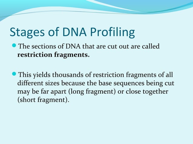 dna fingerprinting powerpoint | PPT | Genetics | Science