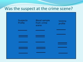 Dna Fingerprinting Crime Scene
