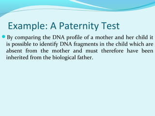 dna fingerprinting powerpoint | PPT