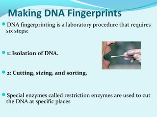 dna fingerprinting powerpoint | PPT | Genetics | Science
