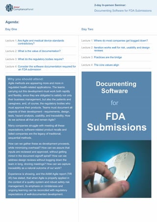documenting software for fda submissions | PDF